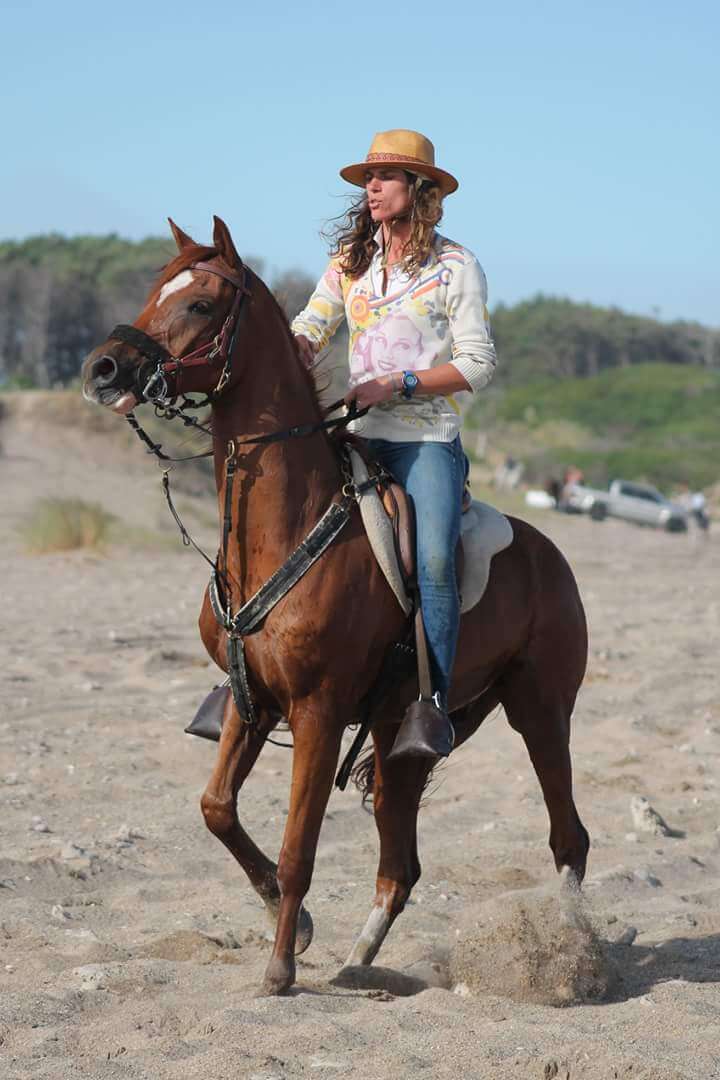 Esprit Equi-libra | Accueil